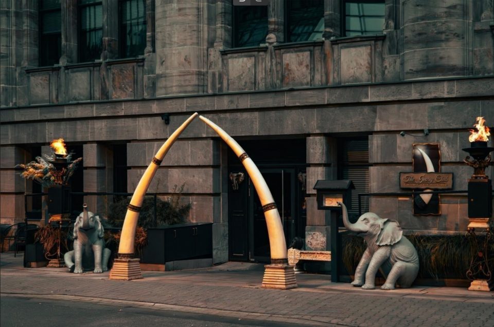 Wow, what a Picture! – Mook Magazin