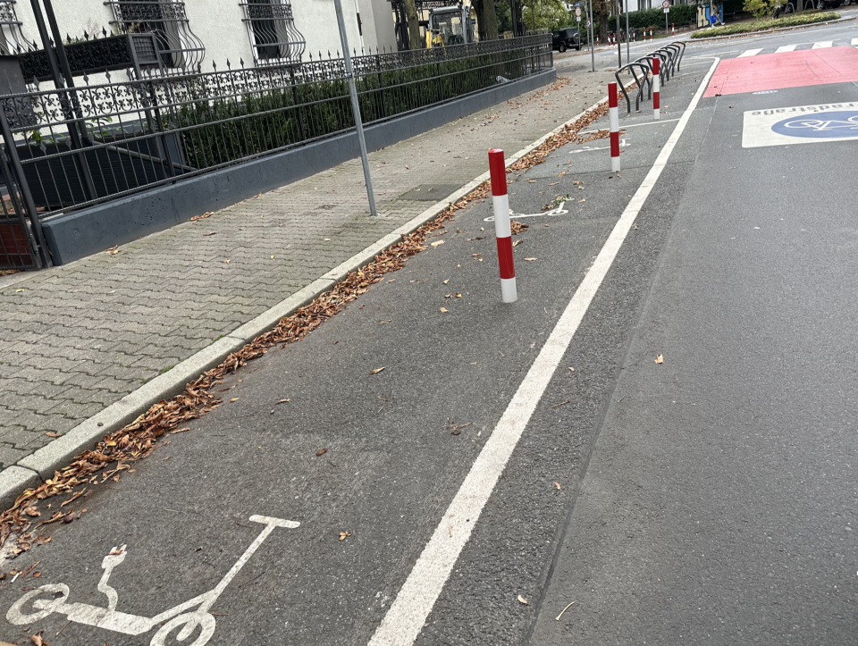 Definition von Wahnsinn – Mook Magazin